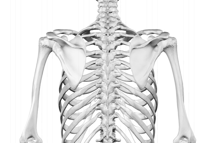 Mitä kiipeilijän tulisi tietää olkapäästä? Osa 1 :: kiipeilyfysioterapia